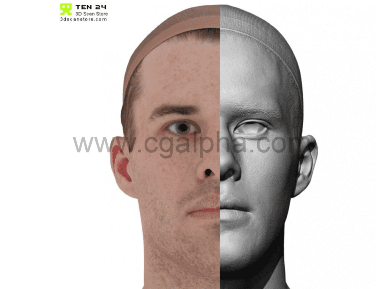 3DScan Store – 男性头部扫描3D模型 Male 42 Head Scan Cleaned_CGalpha